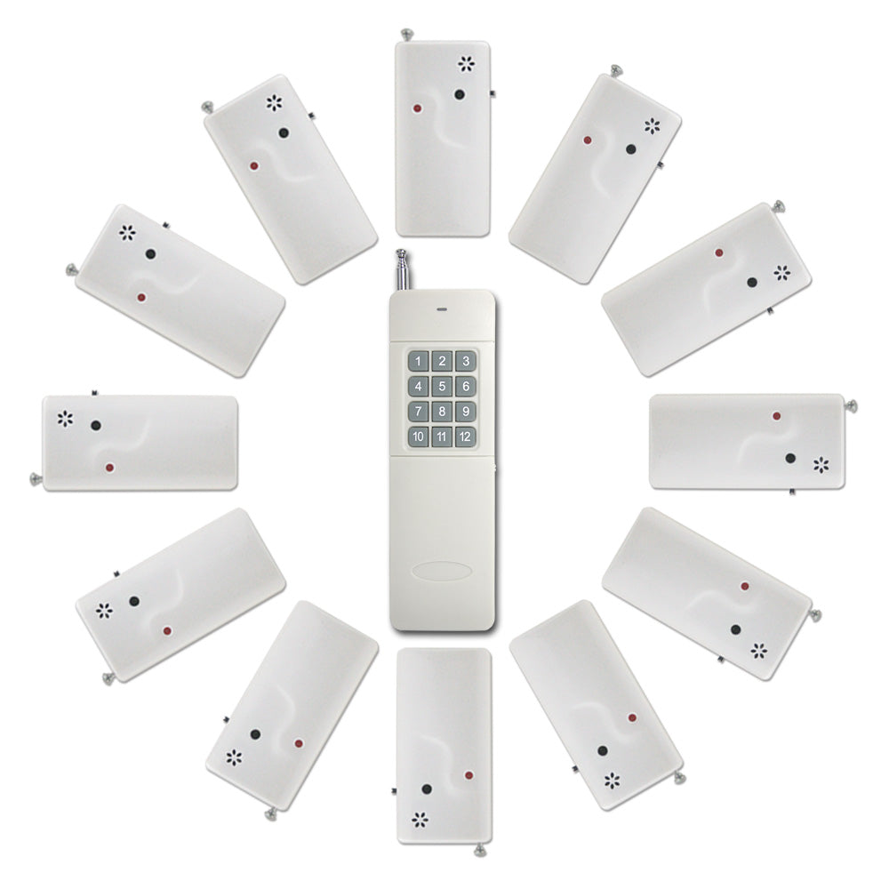 Twelve DC 3V Wireless Reminders and a RF Remote Control – Remote ...